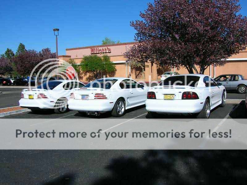 My '95 SVT Cobra | GTPlanet