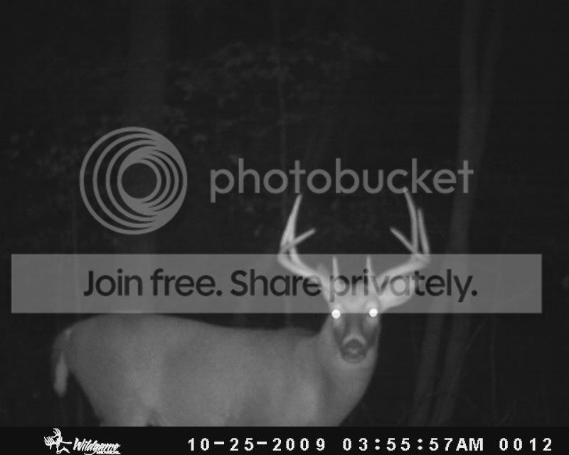Wildgame innovations ir4 | Archery Talk Forum