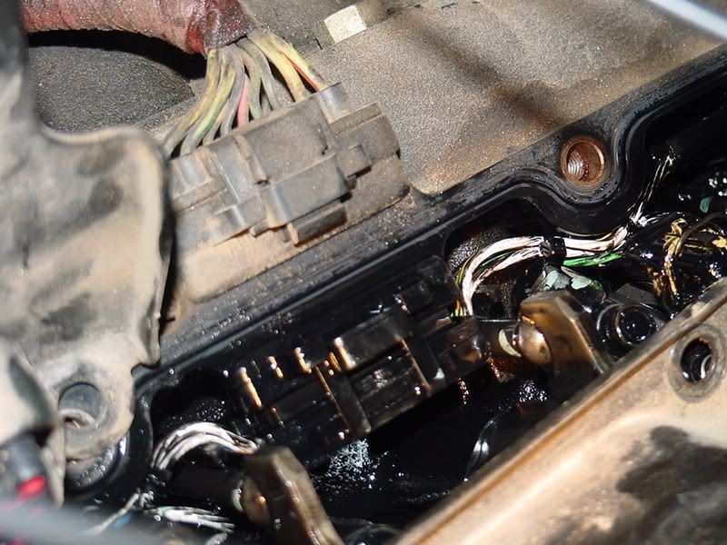 UVC harness strikes again | The Diesel Stop