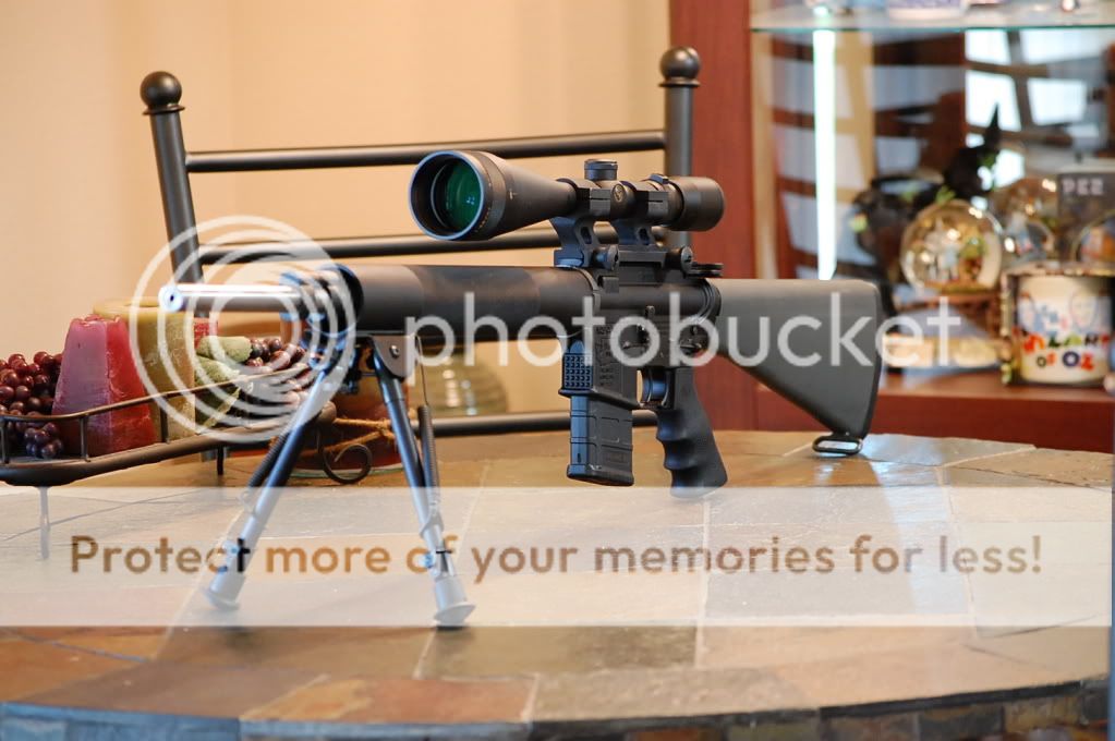 Scoped AR-15 Photos........... > AR Discussions > AR15.COM