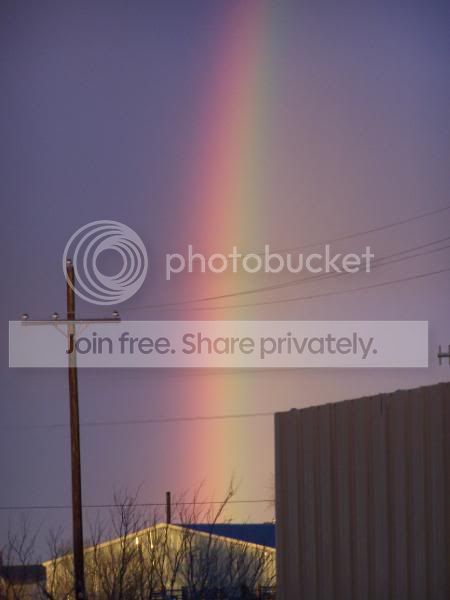 December Rain shower - Photography - Bladesmith's Forum Board