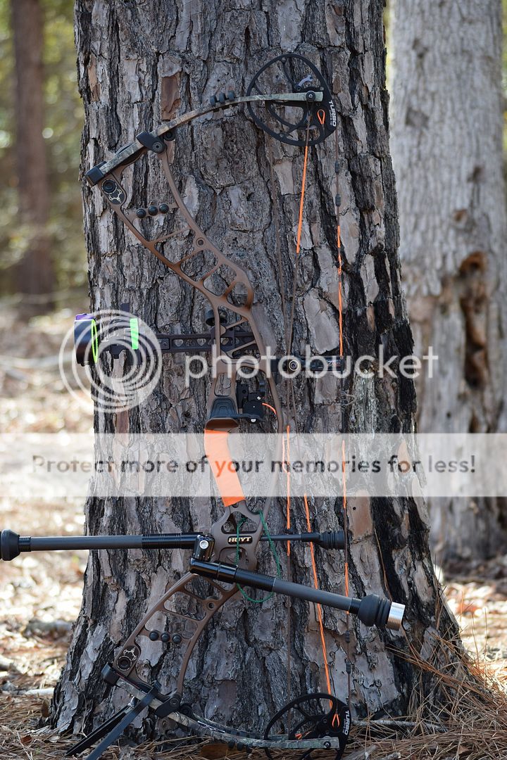 Factory Strings Hoyt Nitrum Turbo | Archery Talk Forum